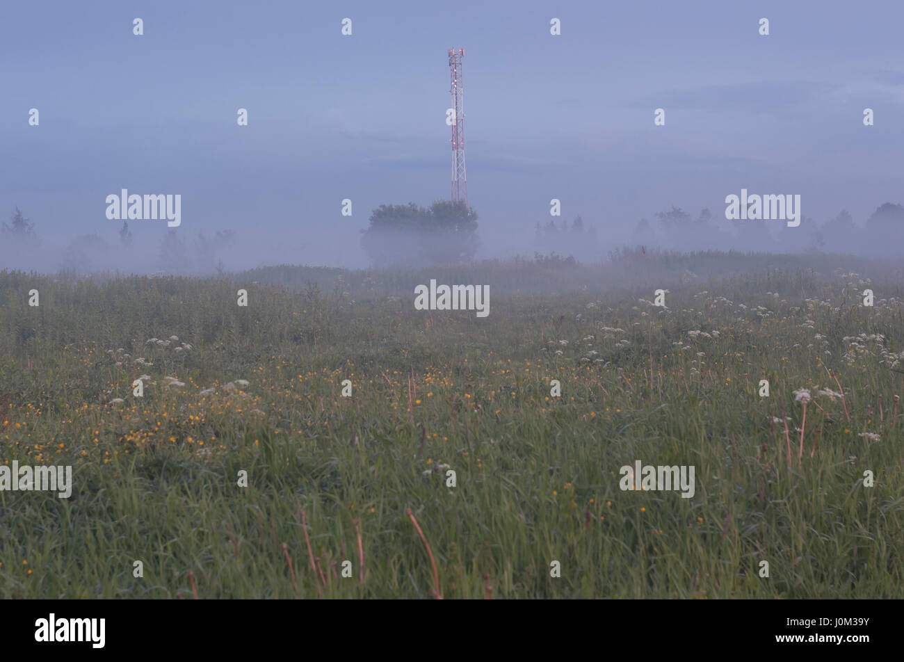 cell tower in a fog rural landscape Stock Photo - Alamy