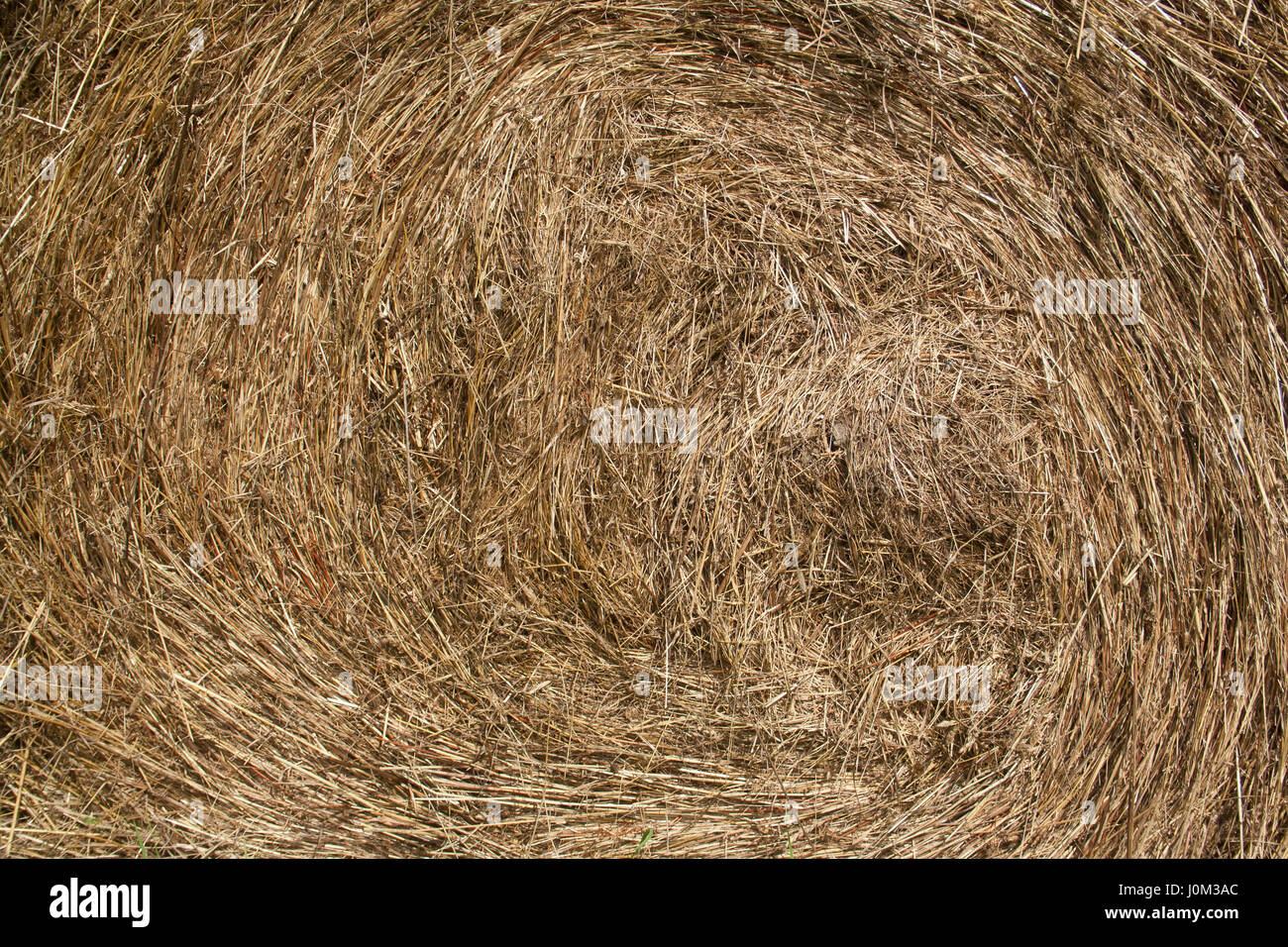 roll of hay texture background Stock Photo - Alamy