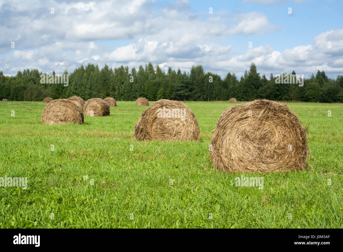 rolls of hay rural landscape Stock Photo - Alamy