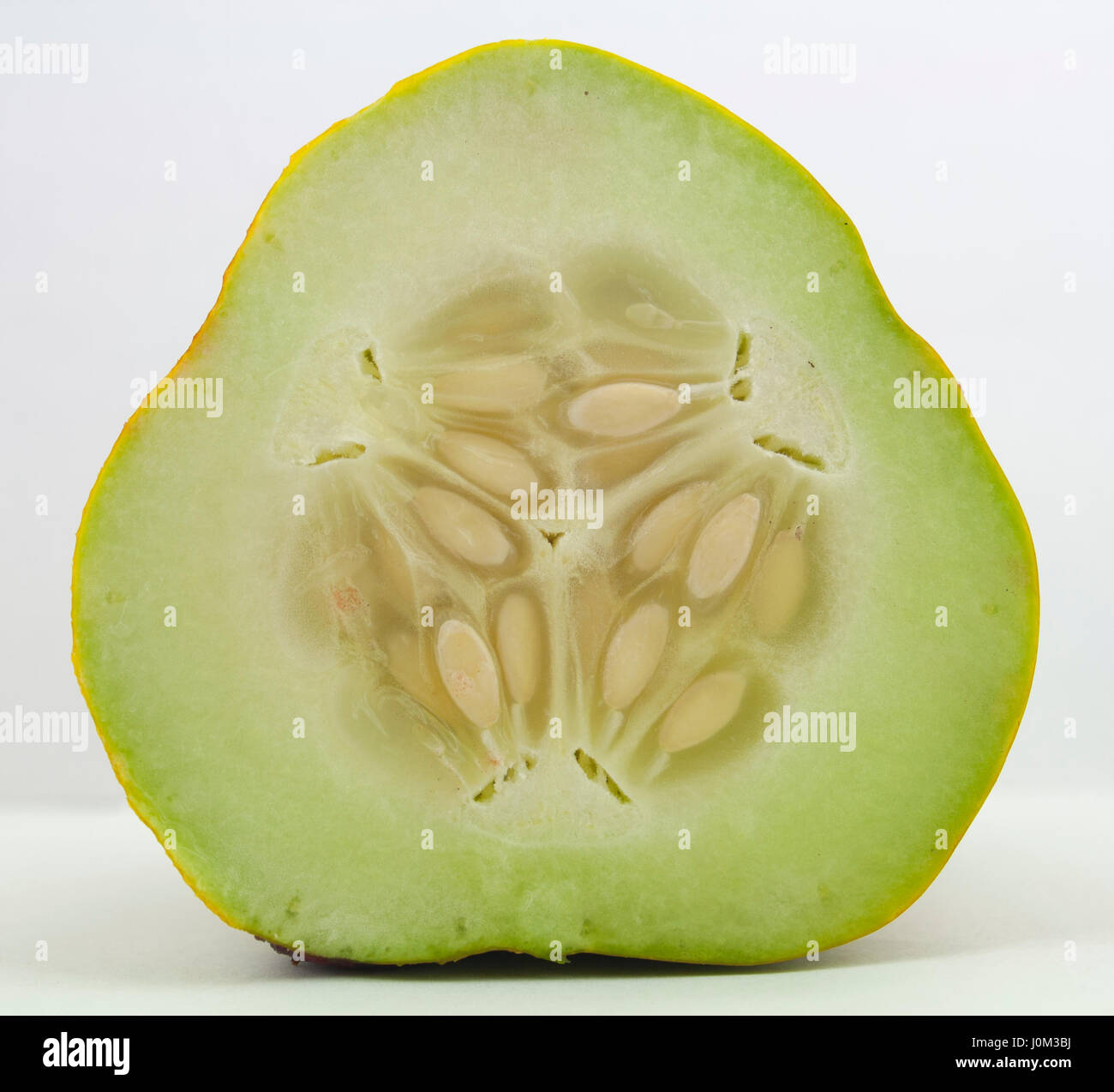 cut of ripe cucumber with seeds Stock Photo - Alamy