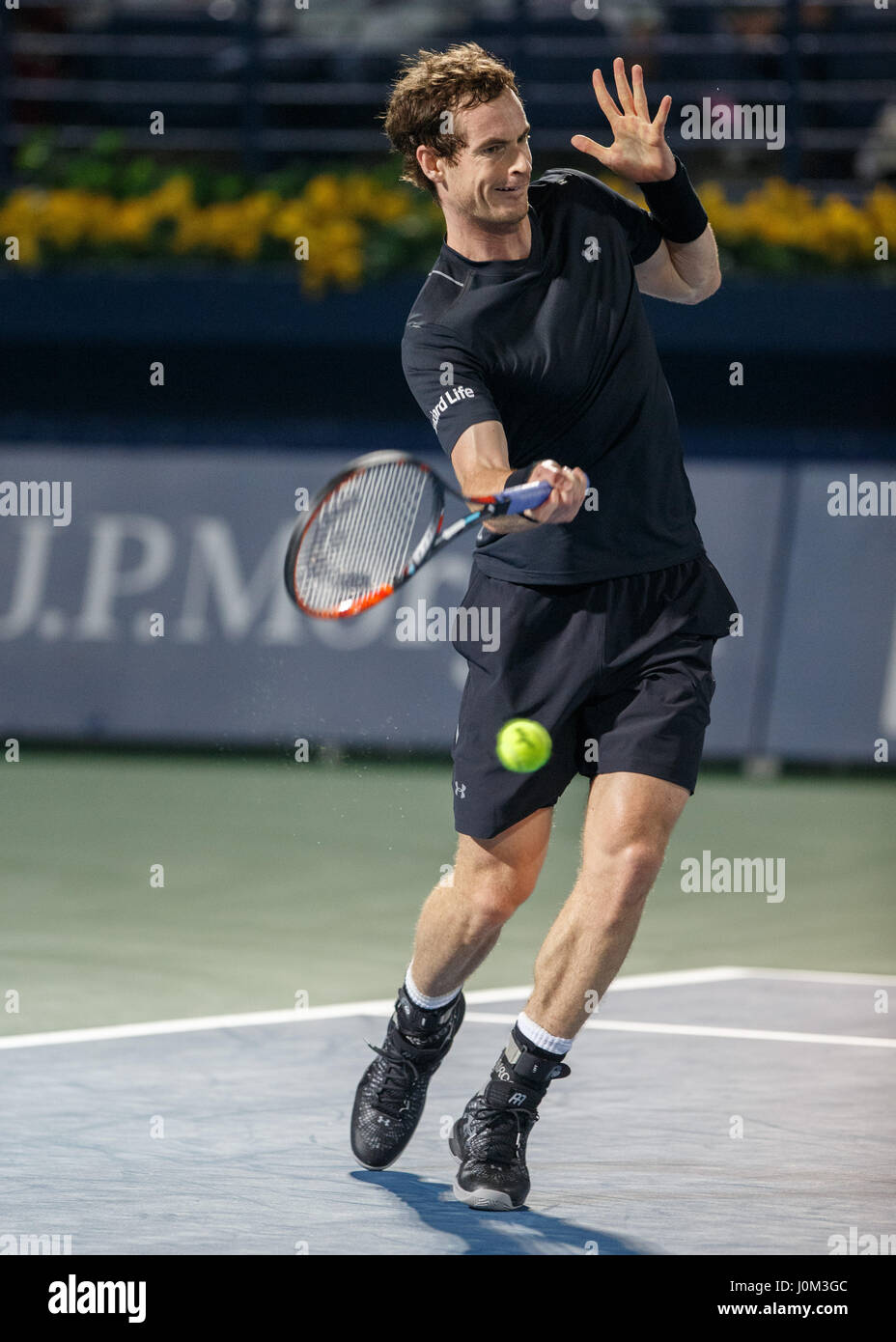 Andy murray hitting ball hi-res stock photography and images - Alamy