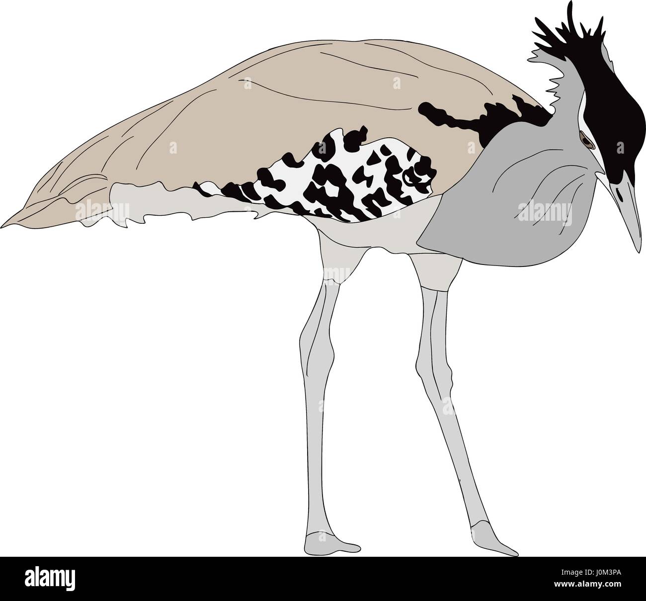 Kori bustard Stock Vector Images - Alamy