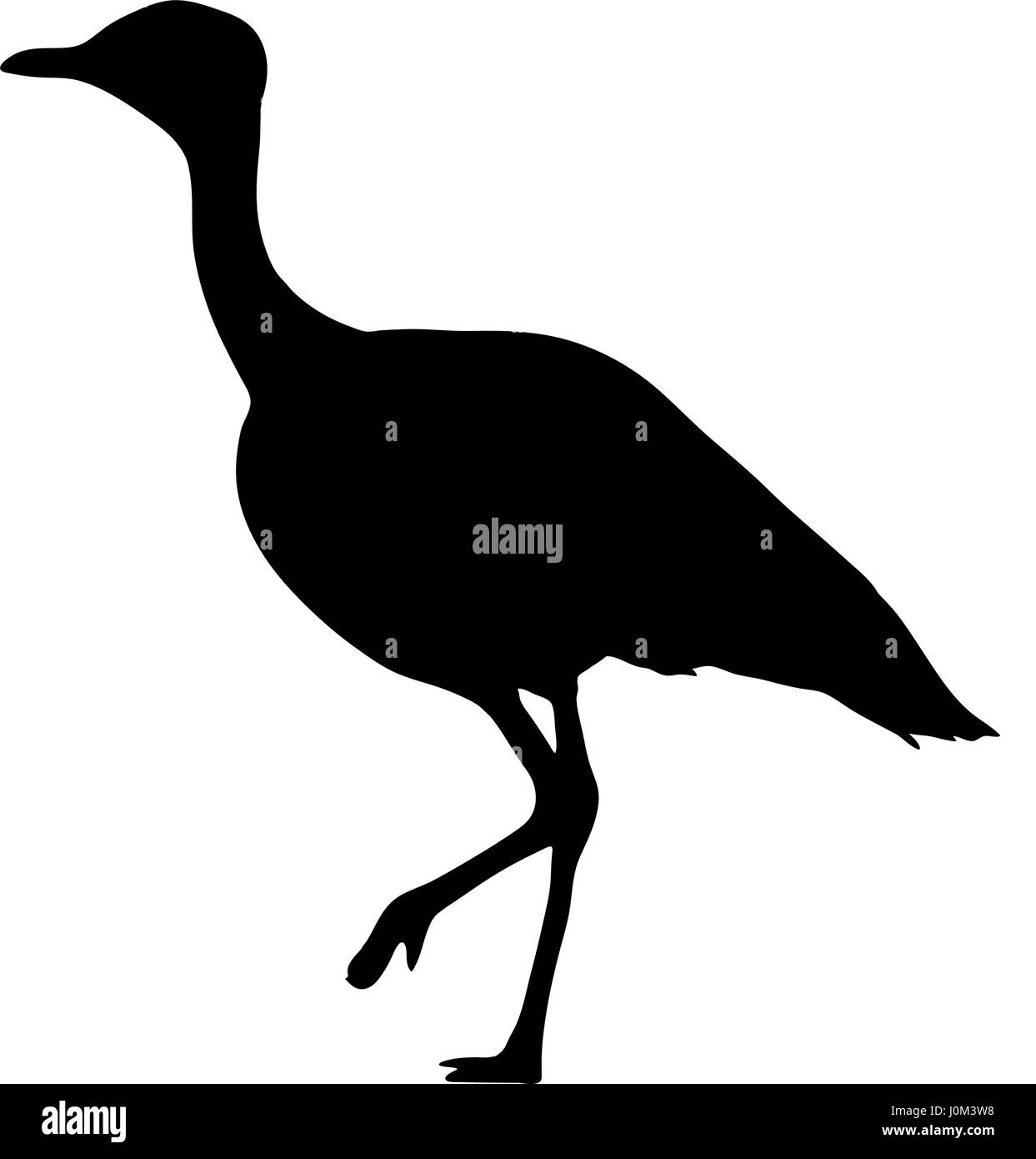 Animal bird wild black Black and White Stock Photos & Images - Alamy