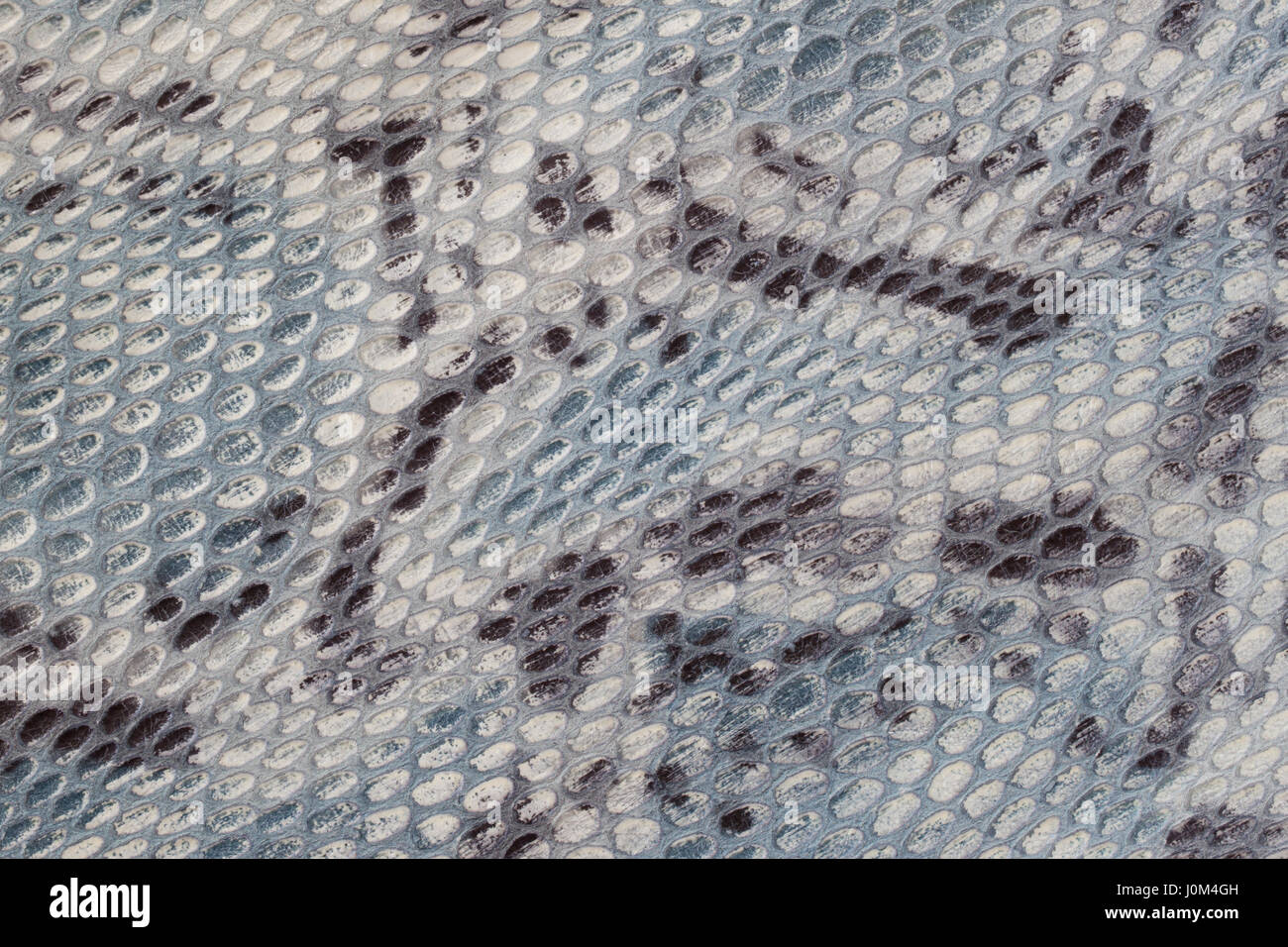 Genuine leather texture with imitation of exotic reptile with with an ...