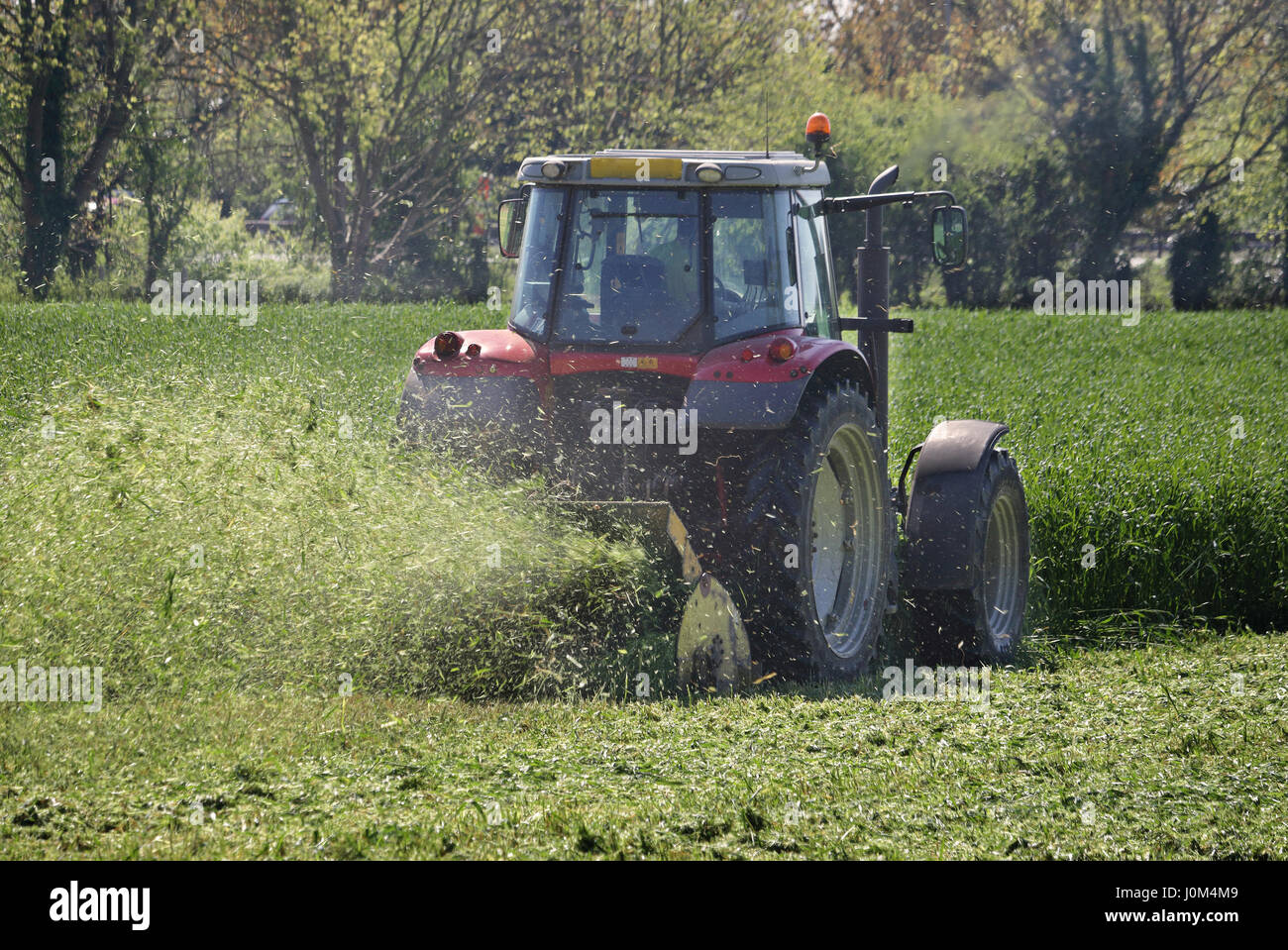 Cutting crops cereal hi-res stock photography and images - Alamy