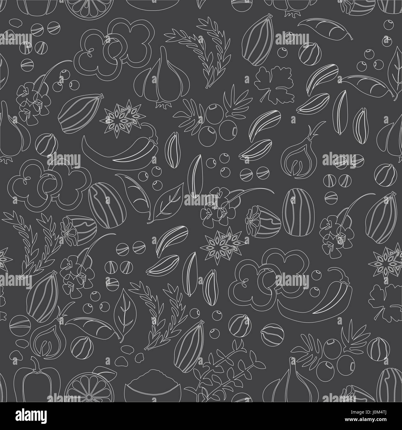 Pattern with hand drawn spices and herbs. Medicinal, cosmetic, culinary ...