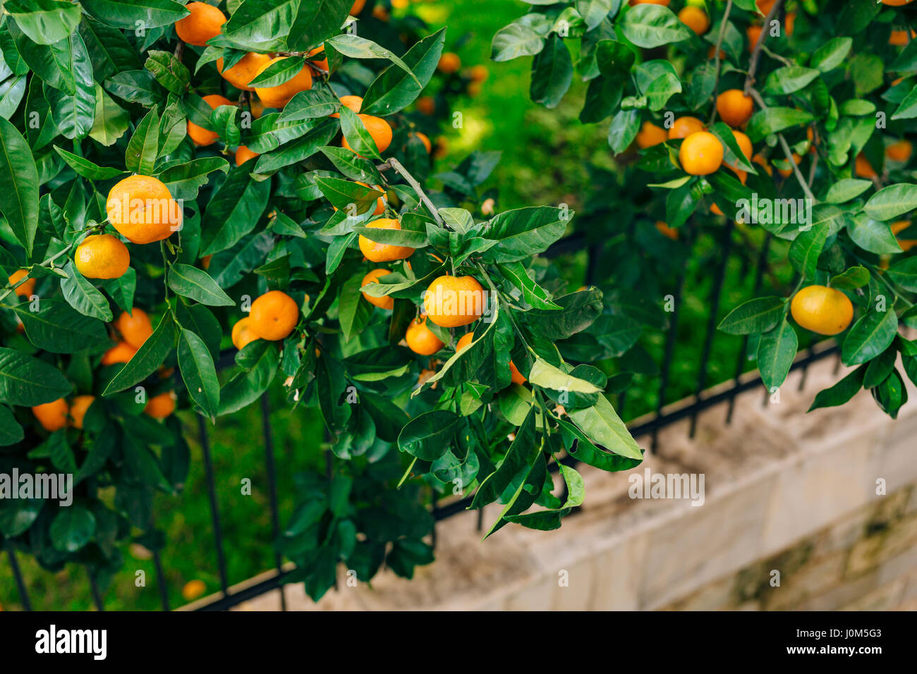 Already hanging hi-res stock photography and images - Alamy