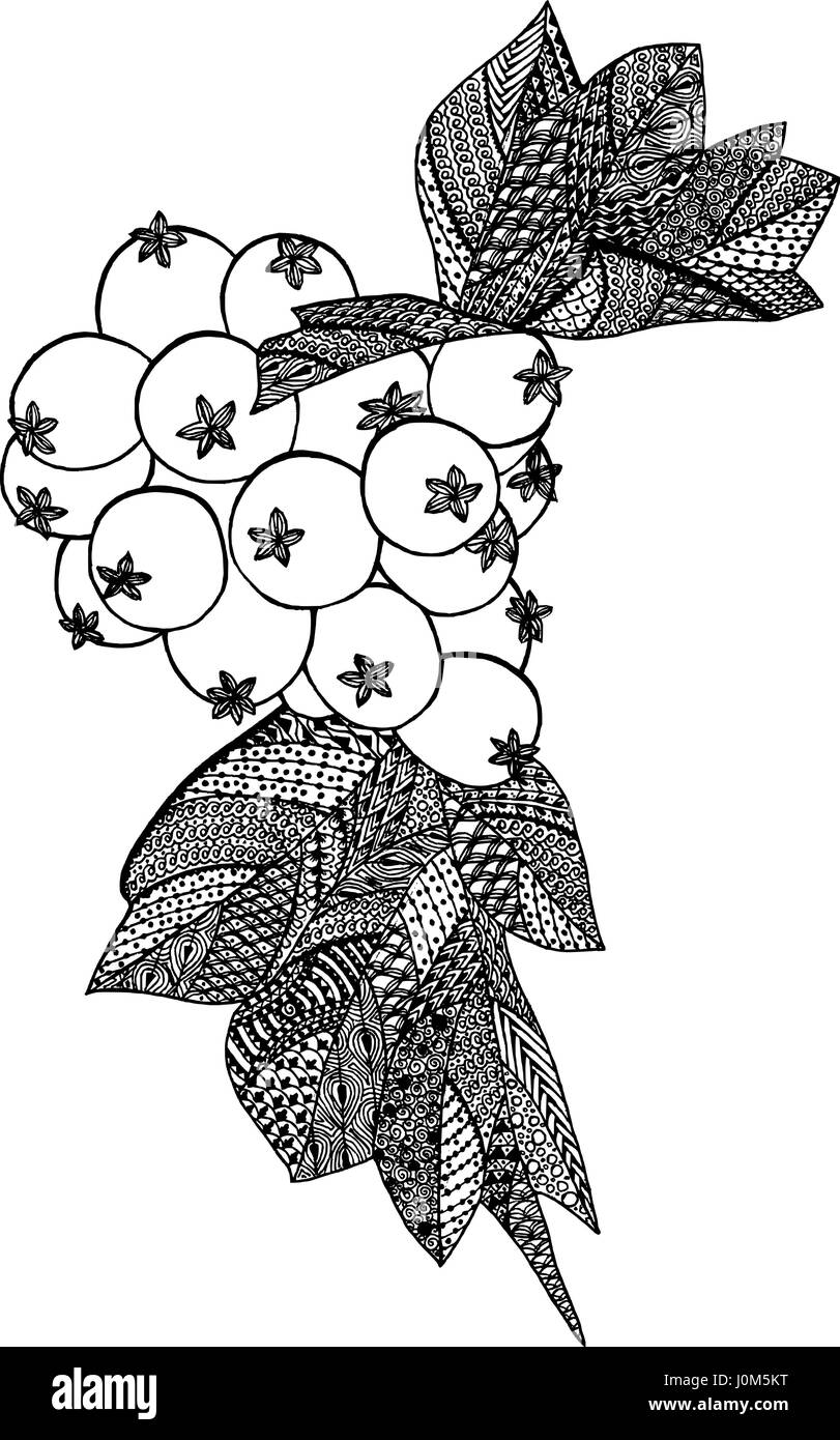 Berries close up Black and White Stock Photos & Images - Alamy