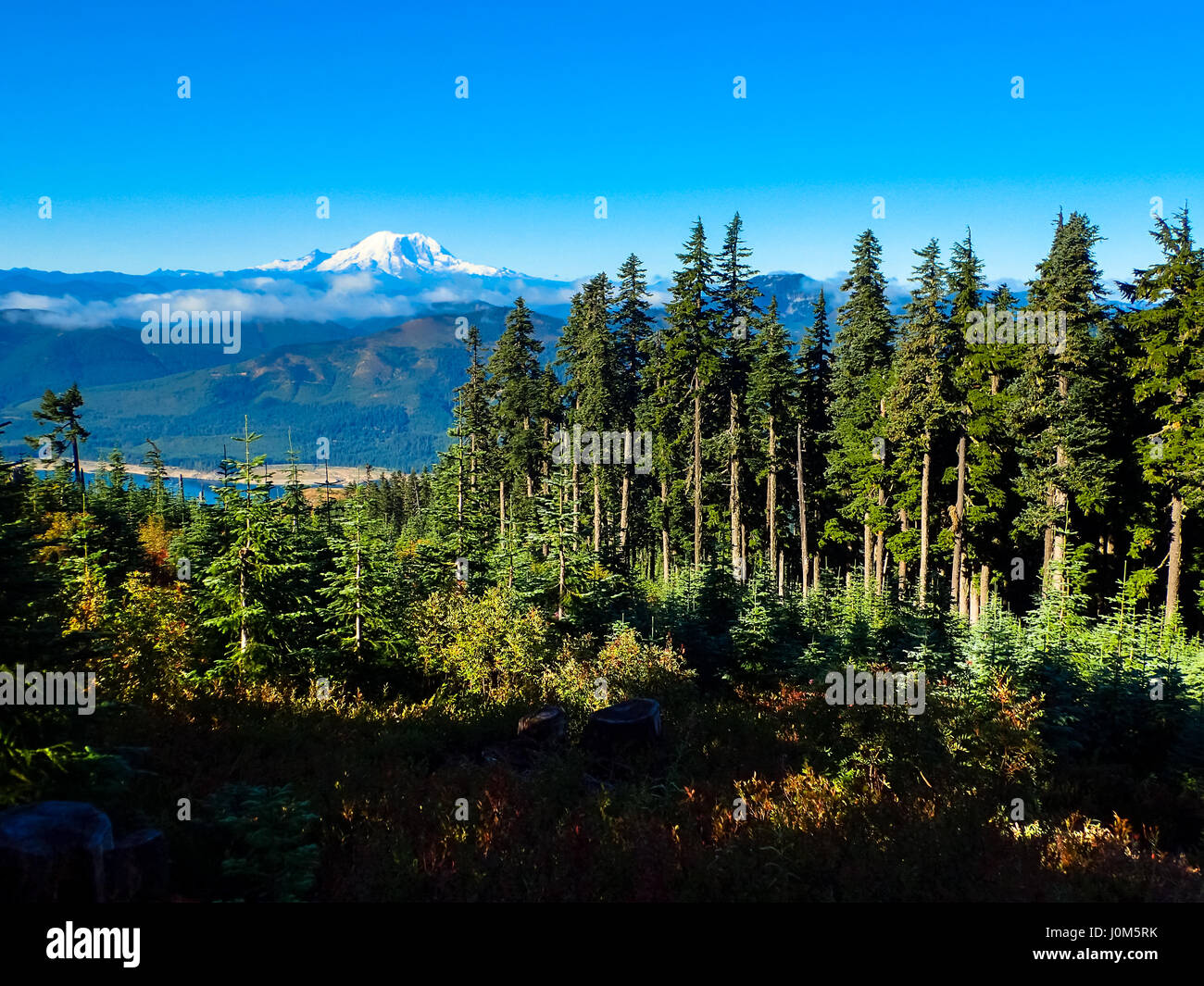 Overlook with Mt Rainier Stock Photo - Alamy