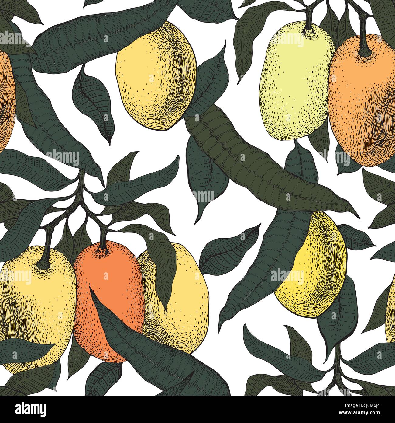 Mango tree vintage seamless pattern. Botanical mango fruit background ...
