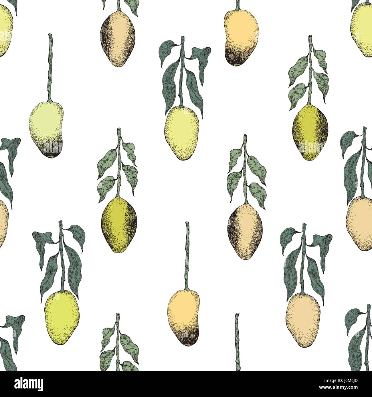 Mango tree vintage seamless pattern. Botanical mango fruit background ...