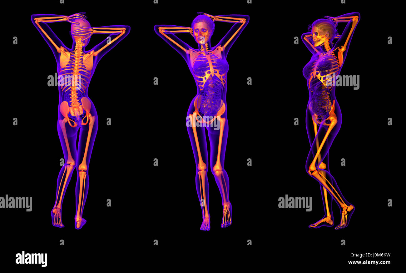 3d rendering medical illustration of the human skeleton Stock Photo - Alamy