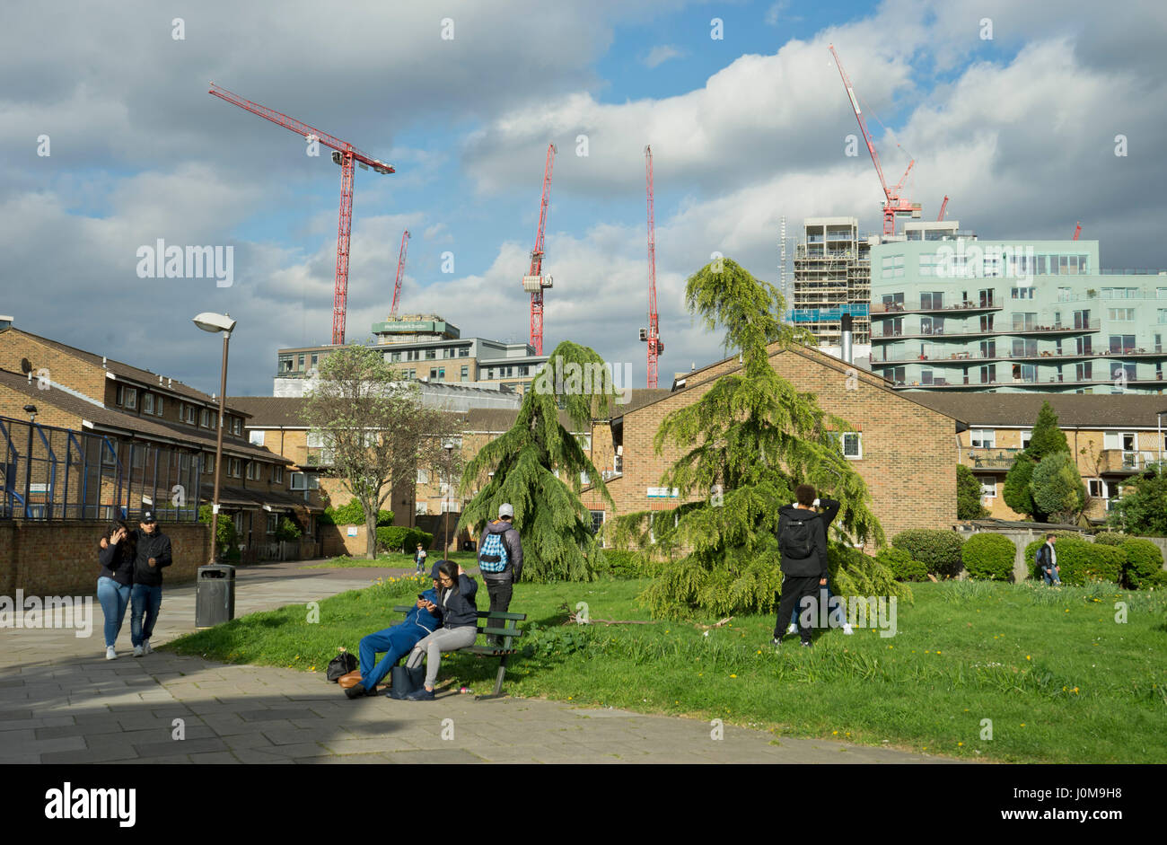 Young people in the gardens of a low income council housing estate ...