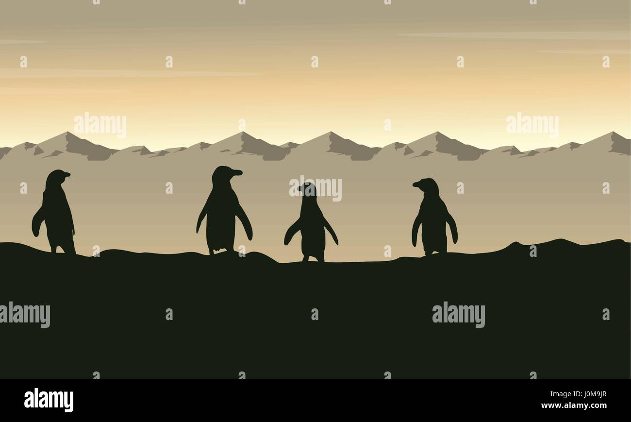 Collection penguin at sunrise scenery Stock Vector Image & Art - Alamy