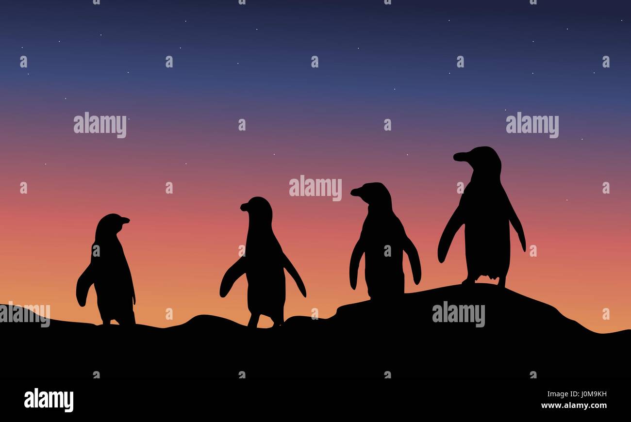 Penguin silhouette night scenery hi-res stock photography and images ...