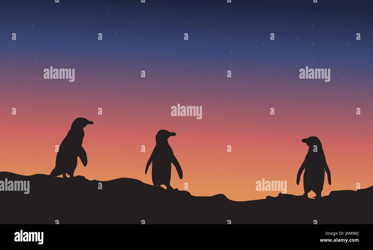 Silhouette of penguin at night landscape Stock Vector Image & Art - Alamy