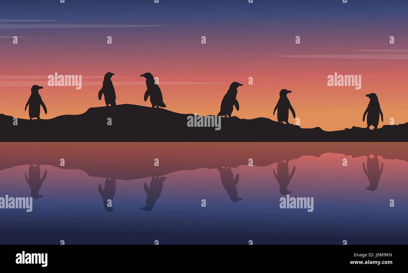 At night scenery with penguin silhouettes Stock Vector Image & Art - Alamy