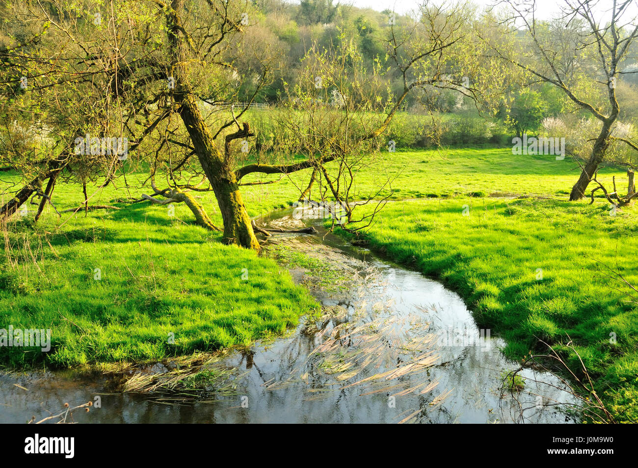 River frome hi-res stock photography and images - Alamy