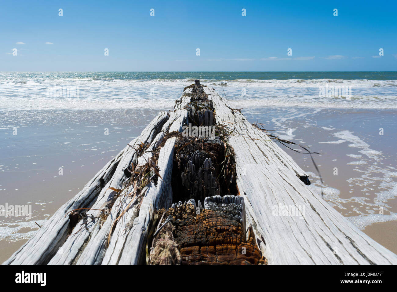 Wooden groyne used to help prevent sand erosion juts out into the surf ...