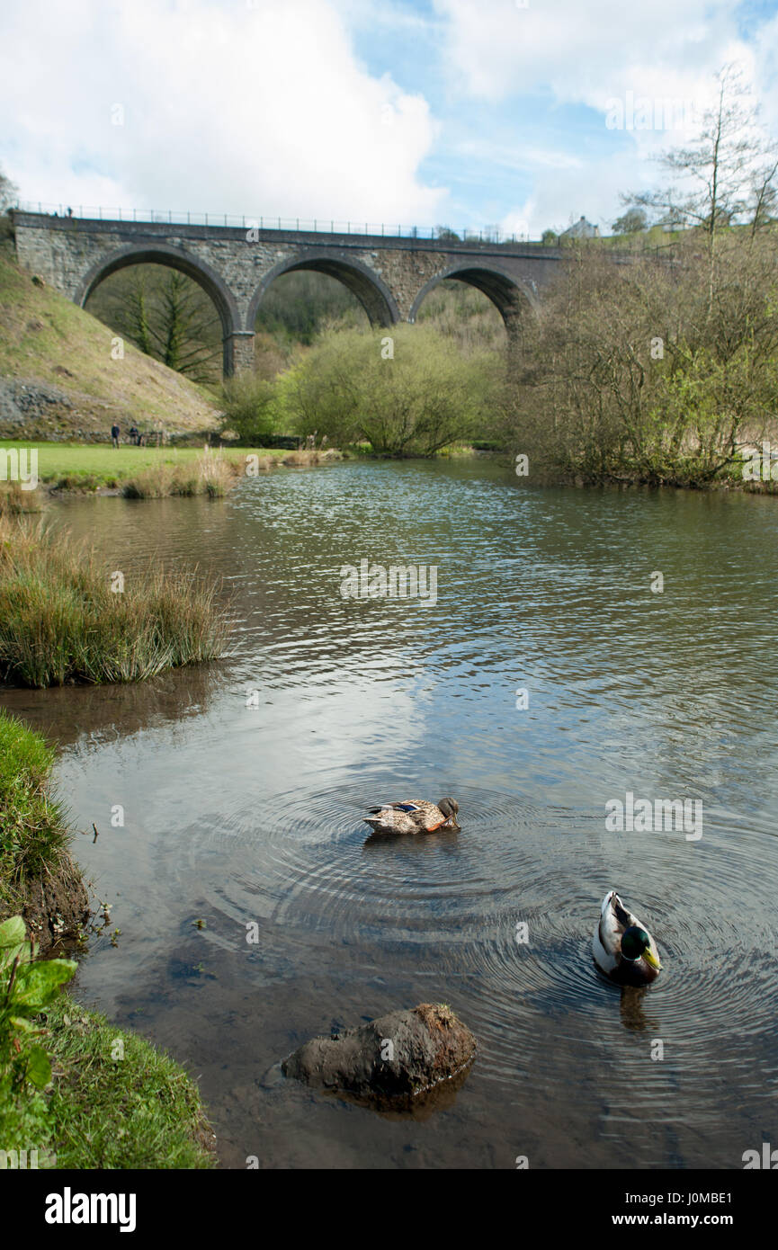 Monsall viaduct hi-res stock photography and images - Alamy