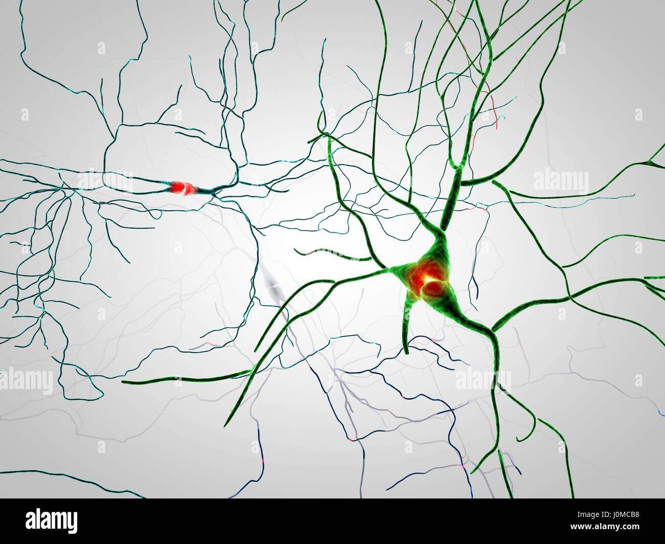 Brain, neurons, synapses, neural network circuit of neurons ... Brain, neurons, synapses, neural network circuit of neurons ...