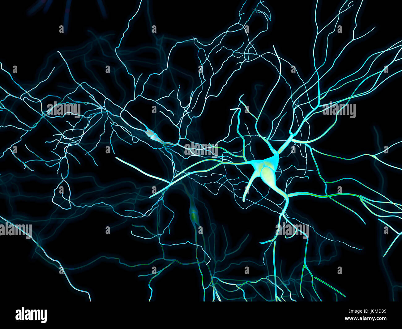 Brain, neurons, synapses, neural network circuit of neurons ... Brain, neurons, synapses, neural network circuit of neurons ...