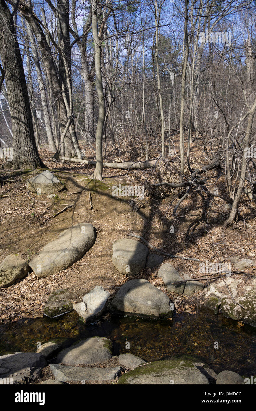 DSC2843a6000 Middlesex Fells Stock Photo - Alamy
