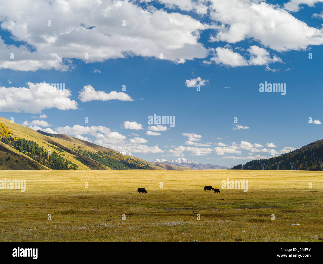 Prairie plateau scenery hi-res stock photography and images - Alamy