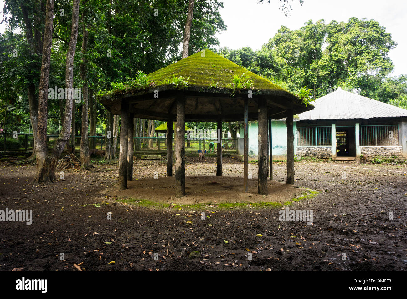 a gazebo with moss and ferns on the roof and pillars made from wood ...