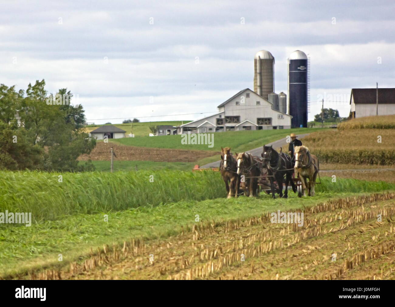 Amish farmer hi-res stock photography and images - Alamy