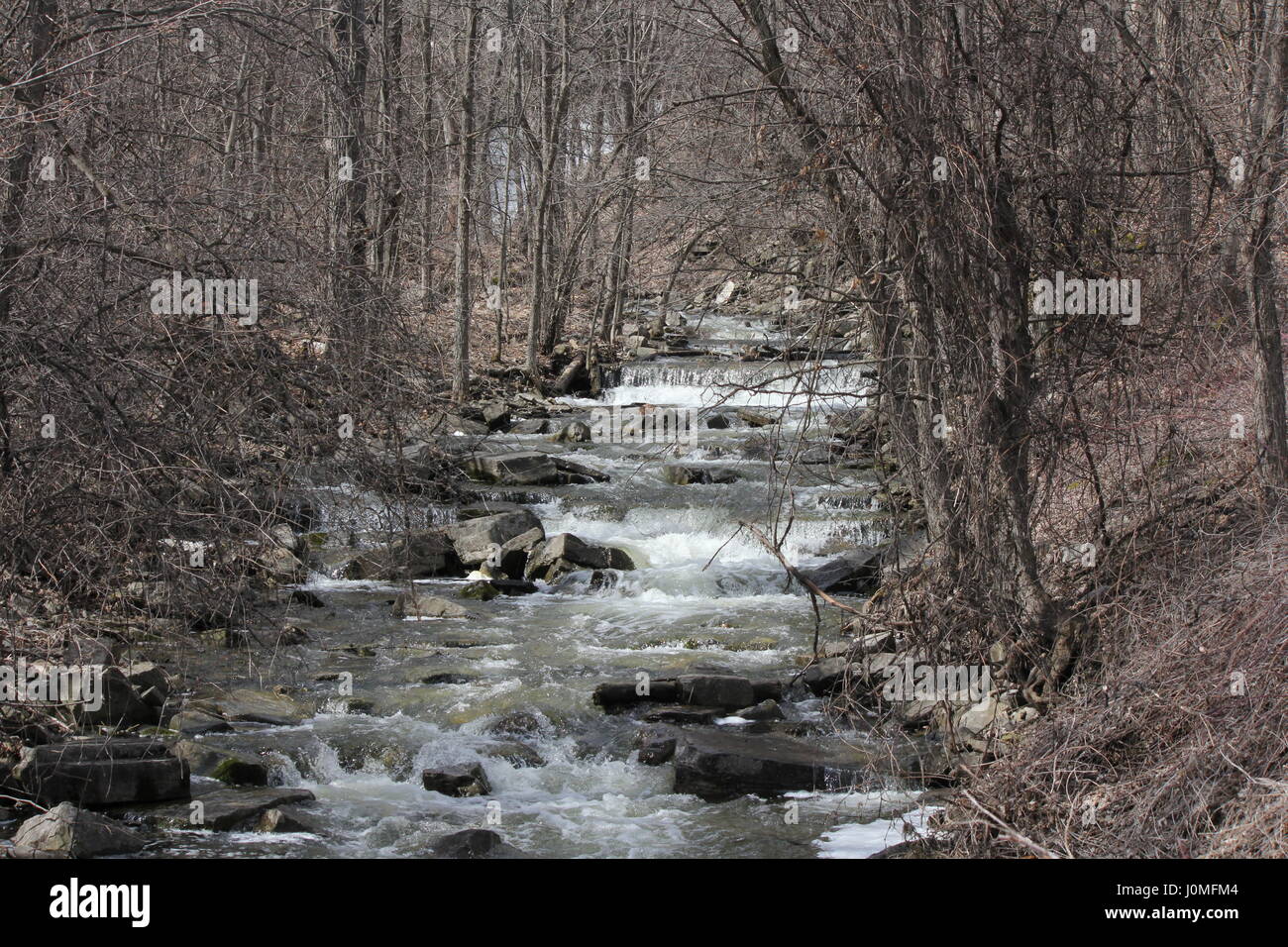 Scenic little waterfall through the trees and flowing down and over a ...