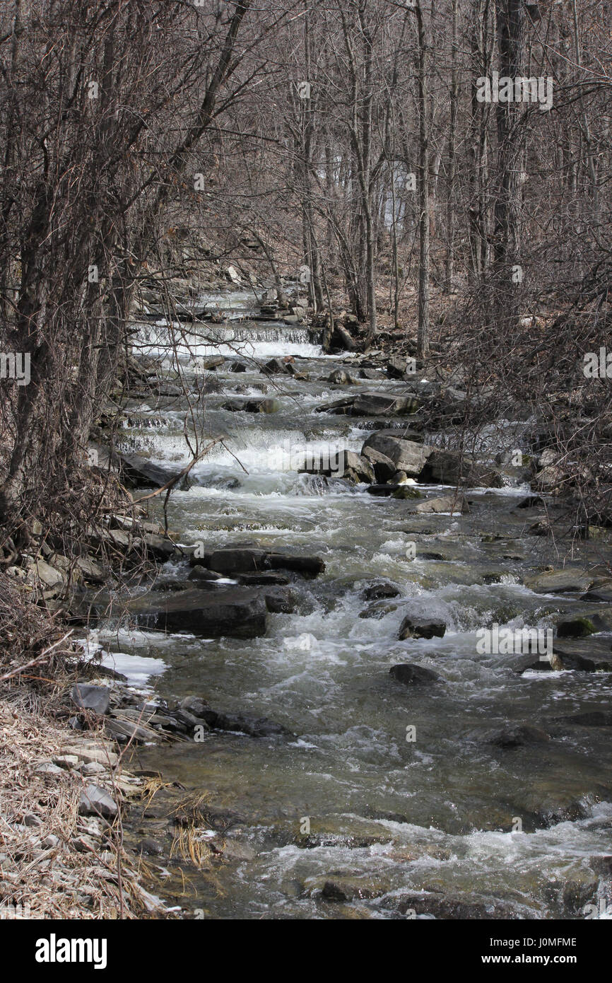 Scenic little waterfall through the trees and flowing down and over a ...