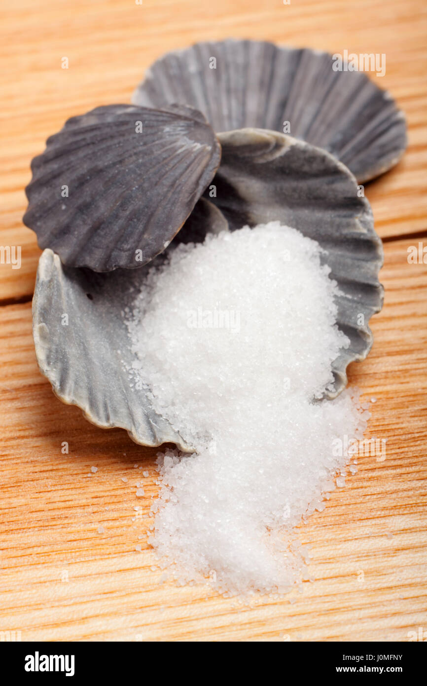 Scallop shell shells hi-res stock photography and images - Alamy