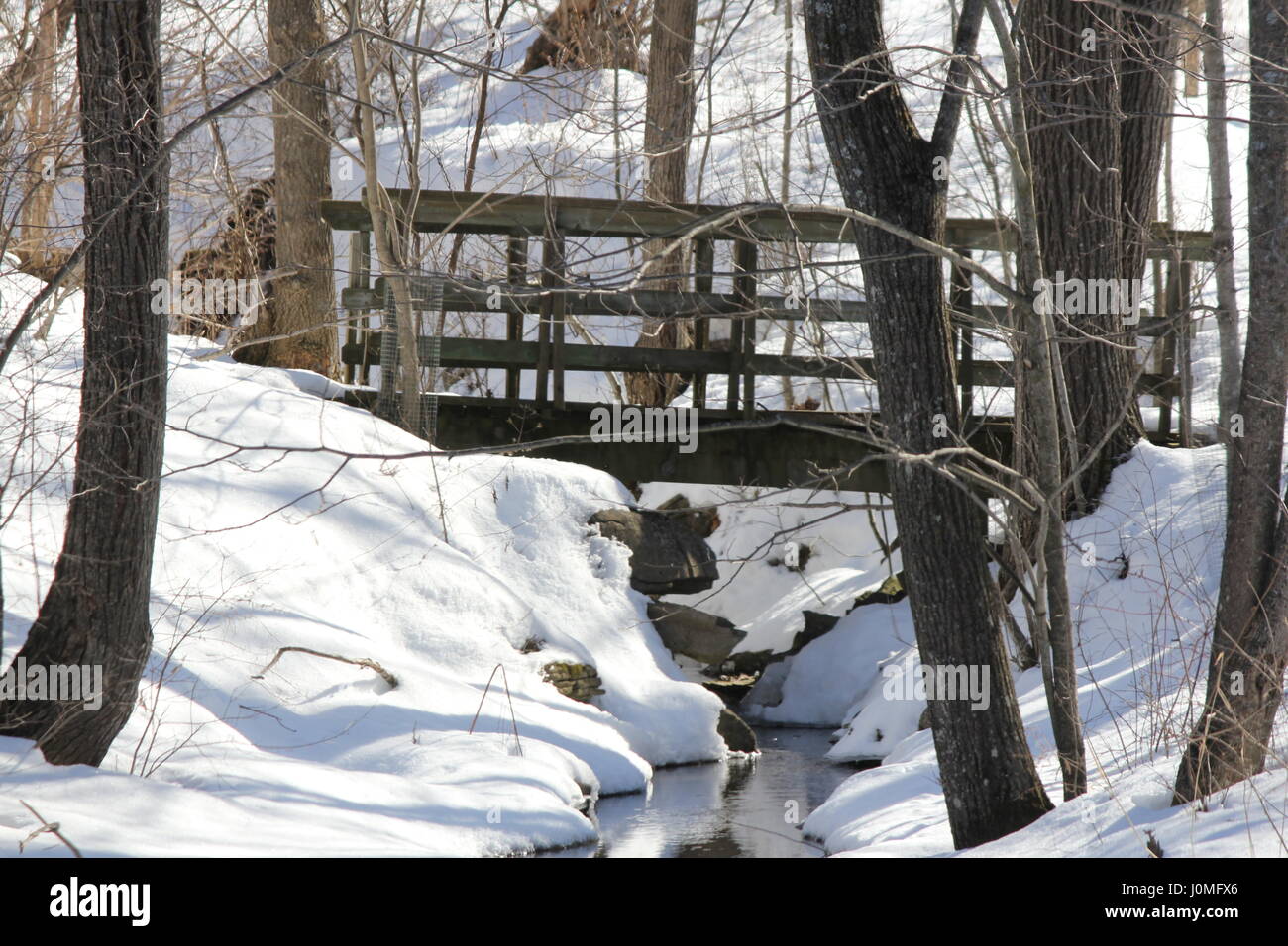 Little wooden walk bridge spanning a deep crevice full of rocks, water ...