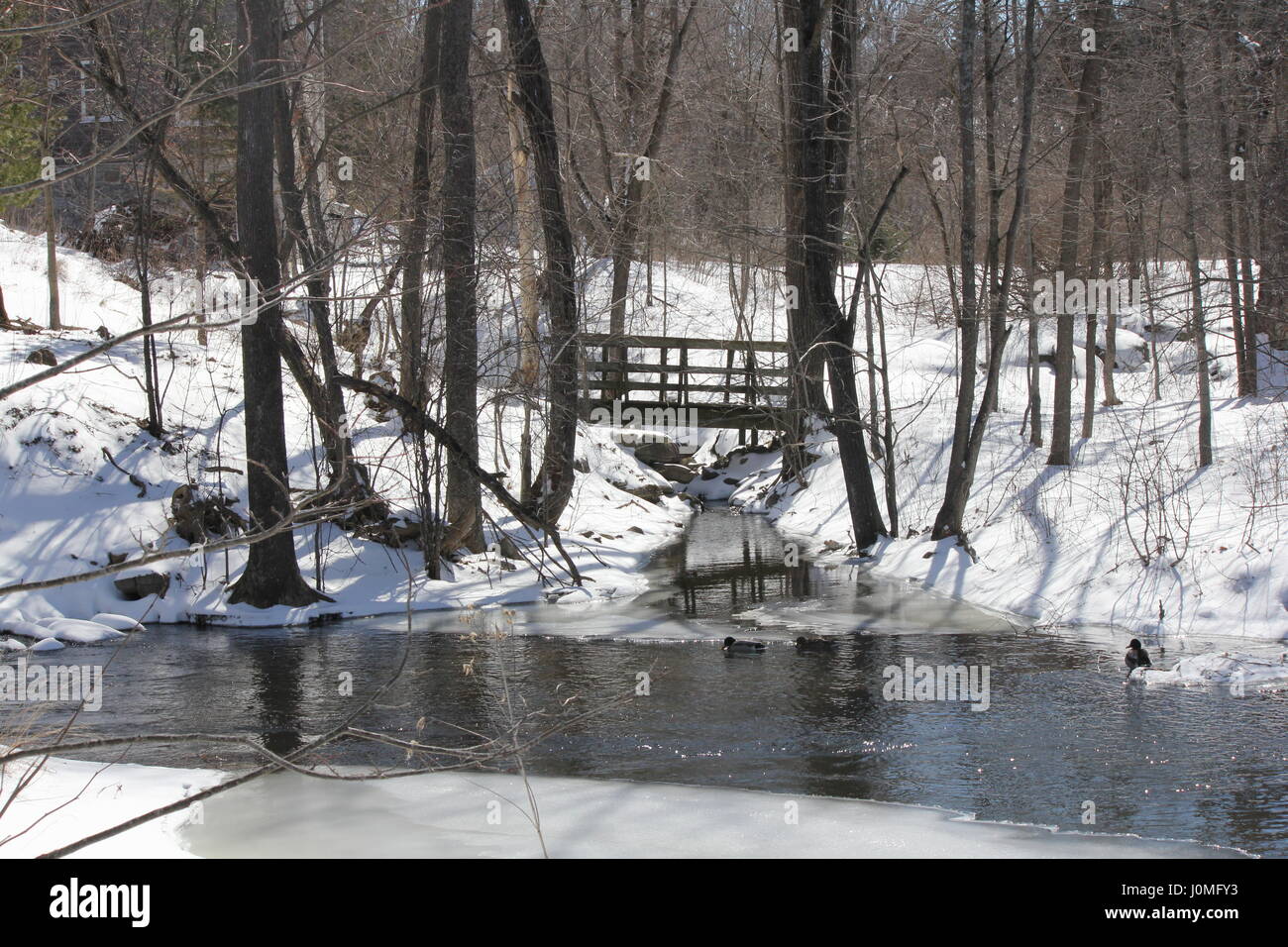 Little wooden walk bridge spanning a deep crevice full of rocks, water ...