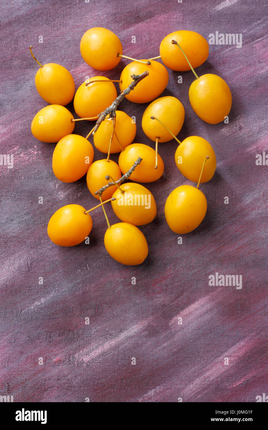 Yellow mirabelle plum fruits over painted textile background. Overhead ...