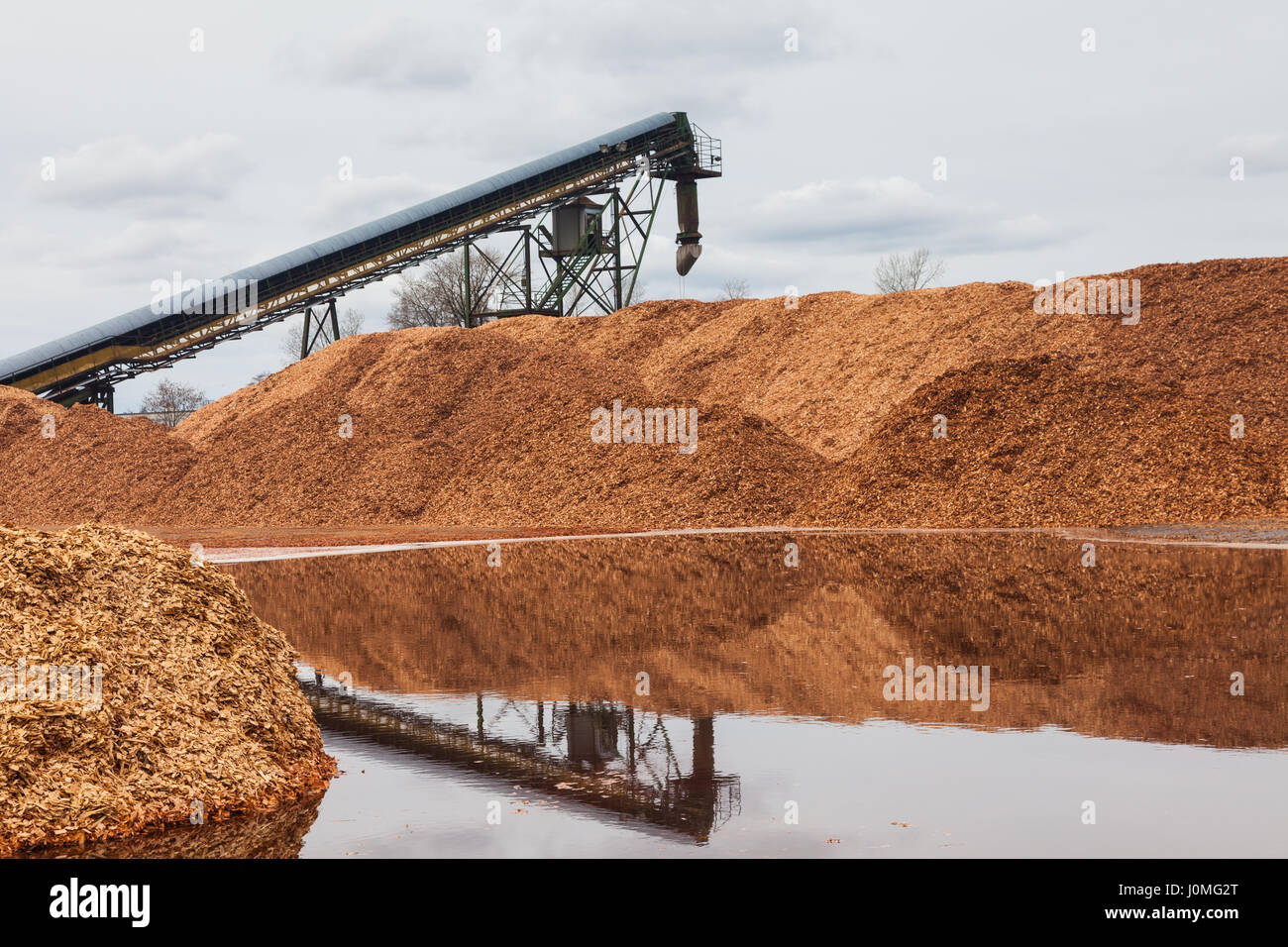 Piles of processed wood chips ready for loading Stock Photo - Alamy