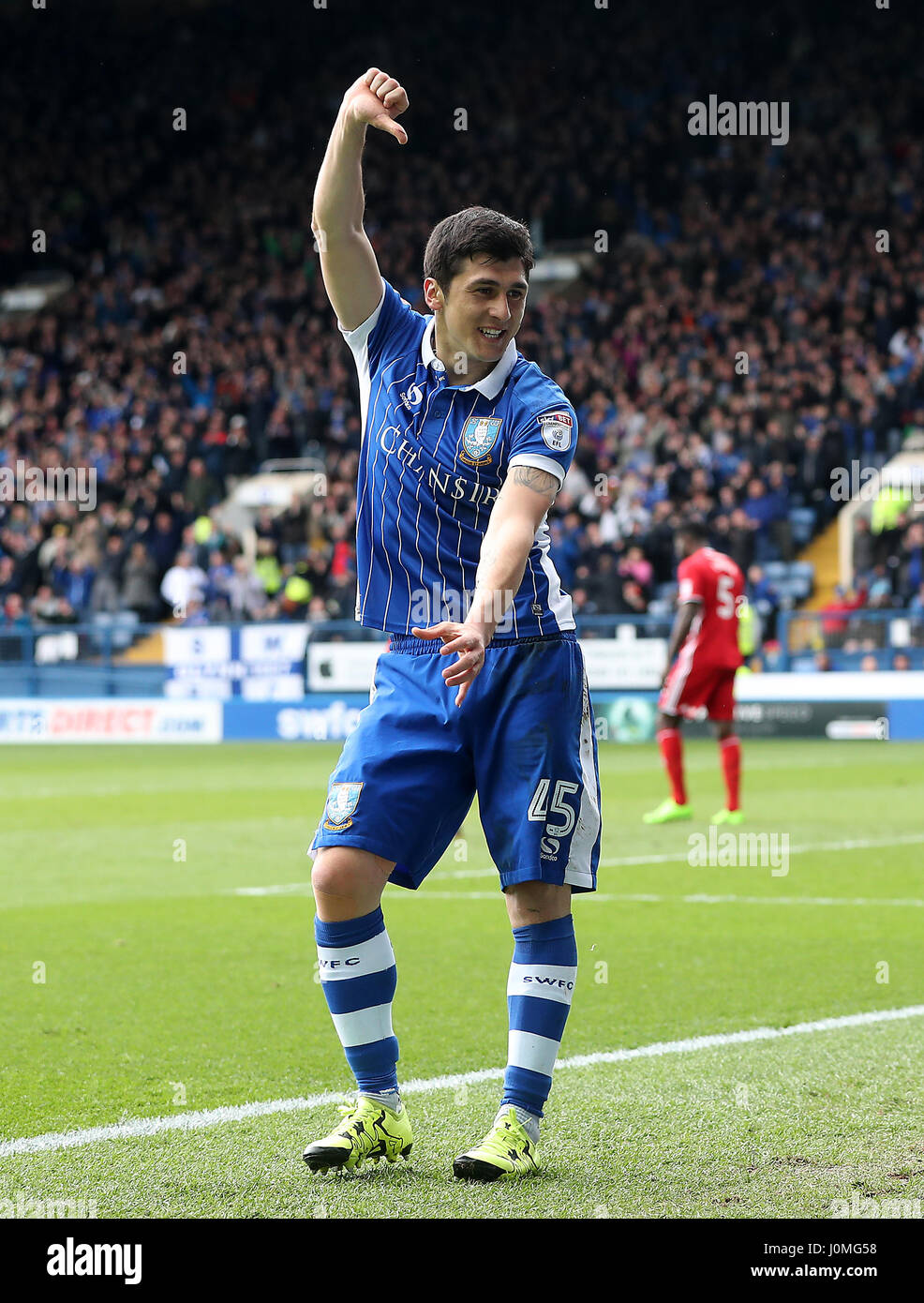 Sheffield Wednesday's Fernando Forestieri celebrates scoring his side's ...
