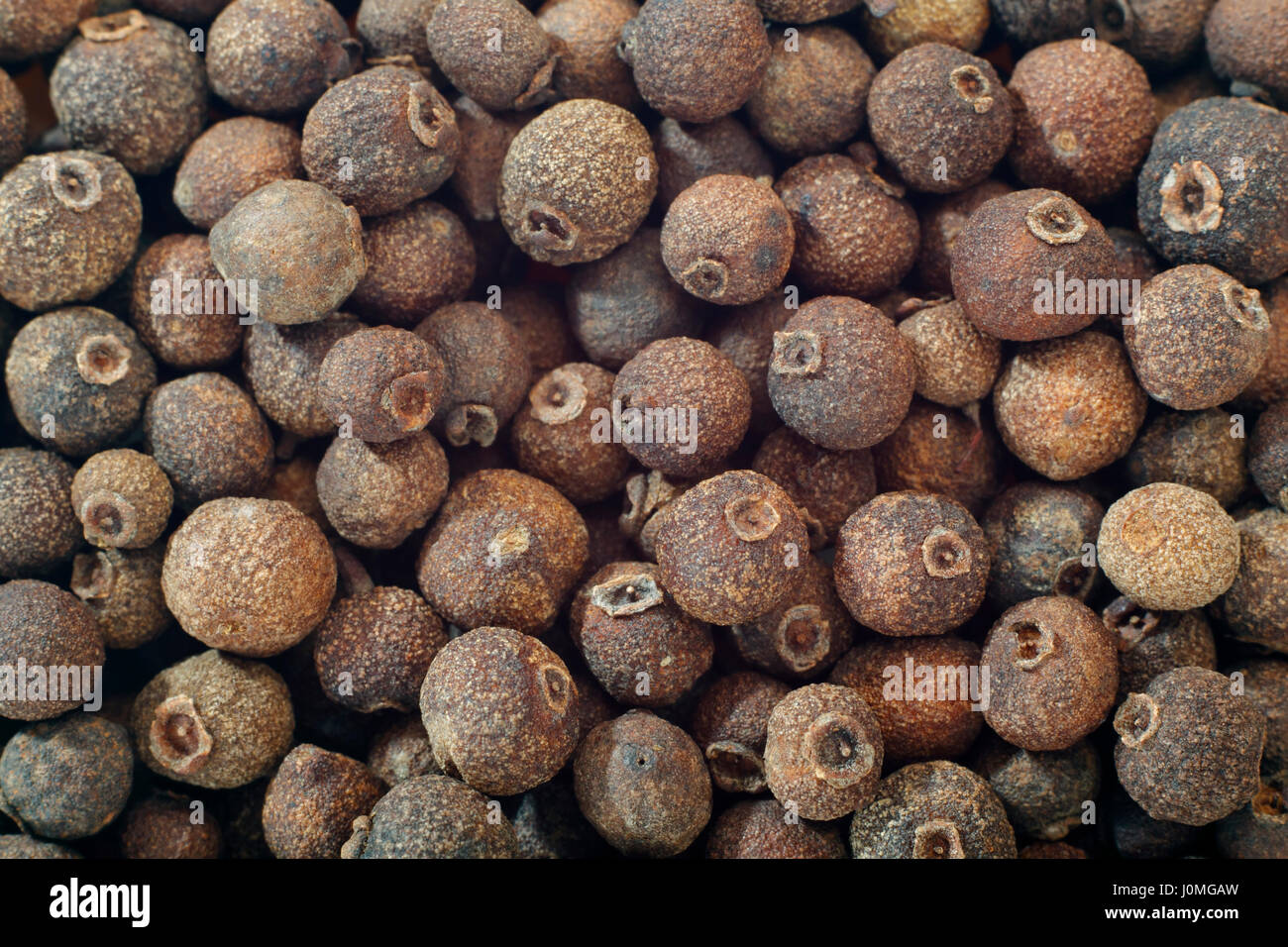 Allspice Berry High Resolution Stock Photography and Images - Alamy