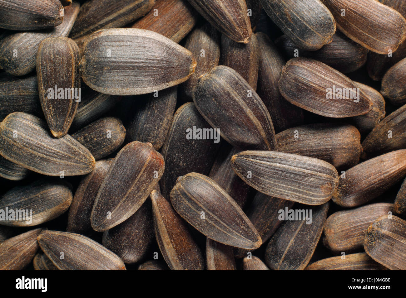 Sunflower hulls hi-res stock photography and images - Alamy