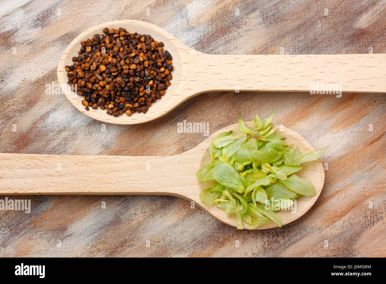 Two wooden spoons with chopped hop cone and home made malt Stock Photo ...