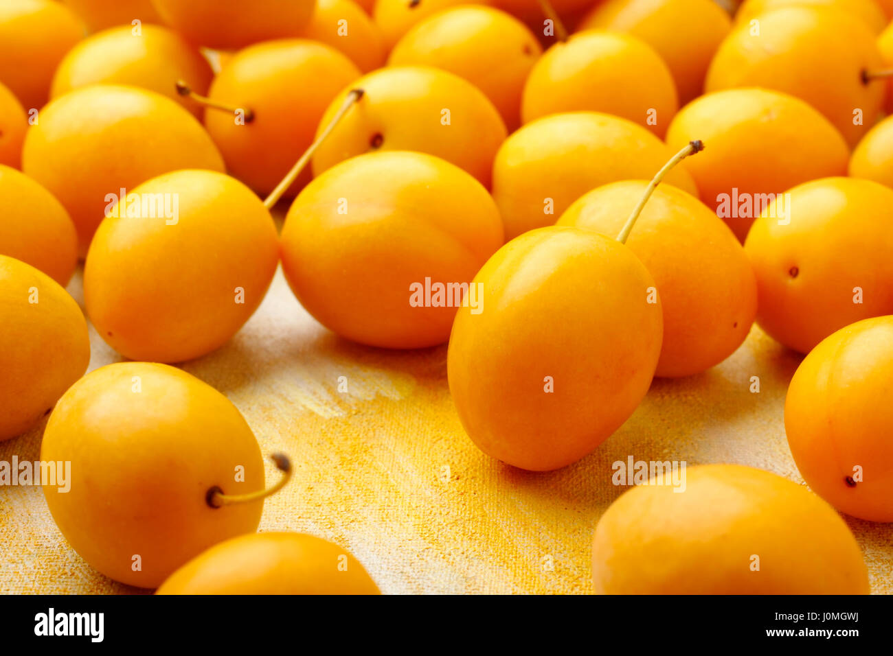 Mirabelle prune prunus domestica hi-res stock photography and images ...