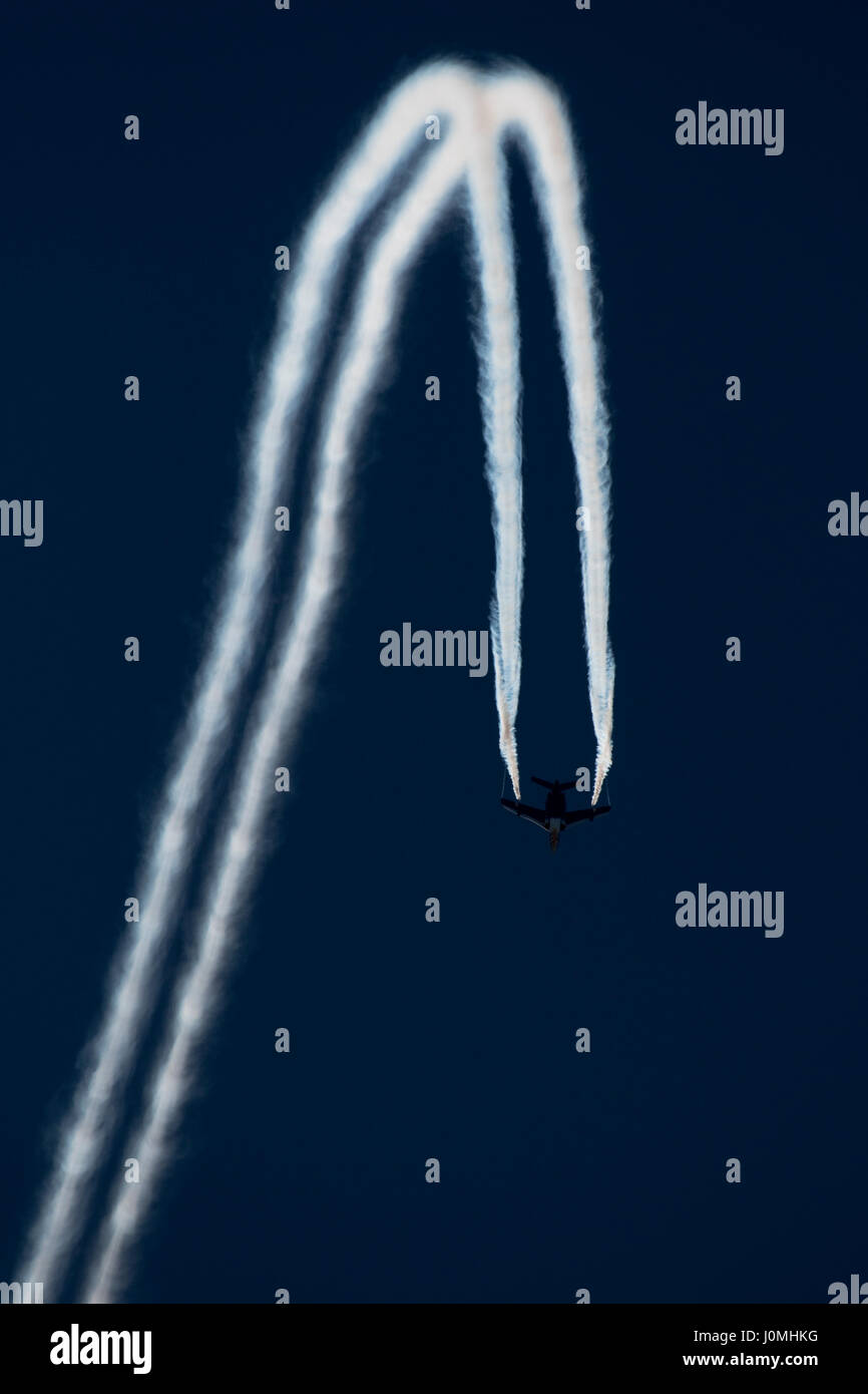 Flying bulls hi-res stock photography and images - Alamy