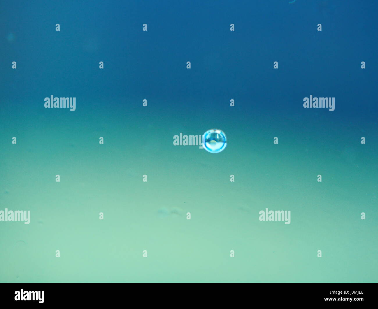 Extreme close up oxygen bubbles hi-res stock photography and images - Alamy