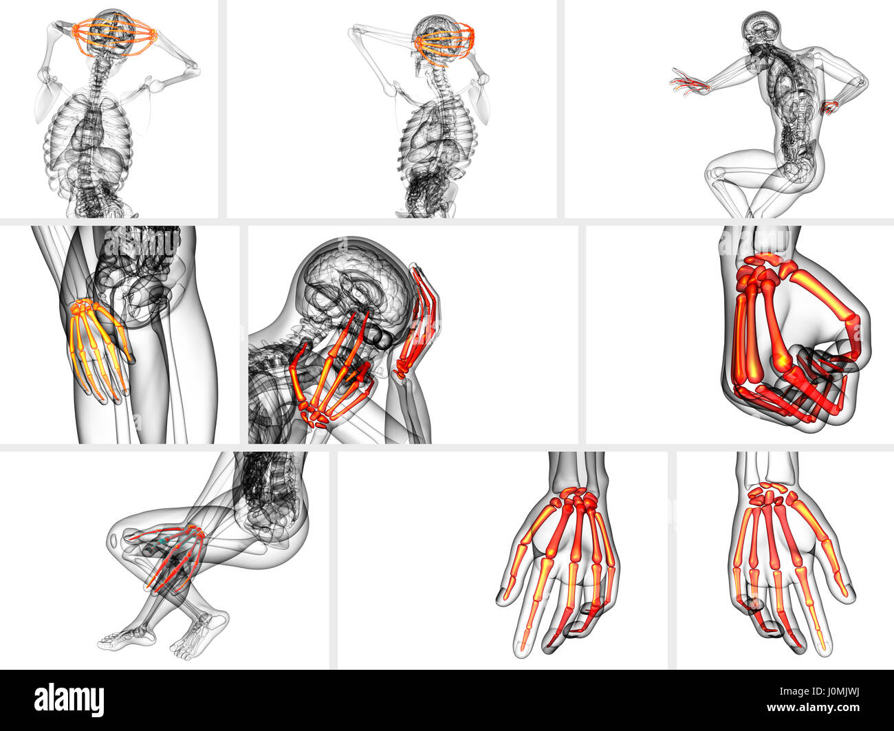3d rendering illustration of the skeleton hand Stock Photo - Alamy