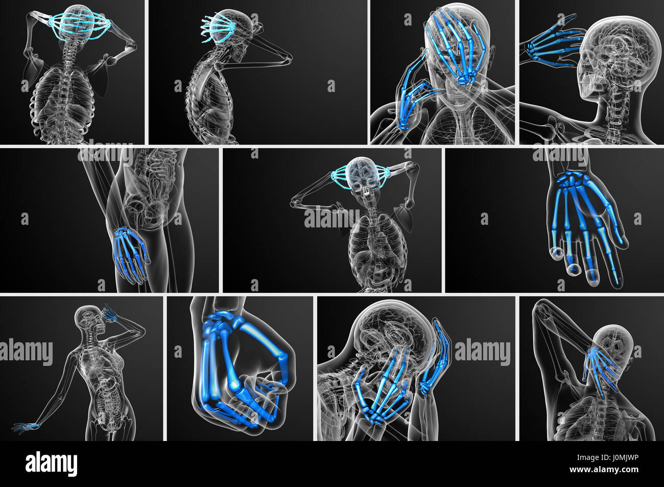 3d rendering illustration of the skeleton hand Stock Photo - Alamy