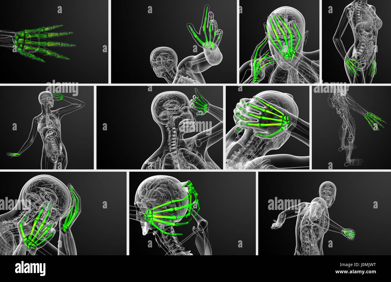 3d rendering illustration of the skeleton hand Stock Photo - Alamy