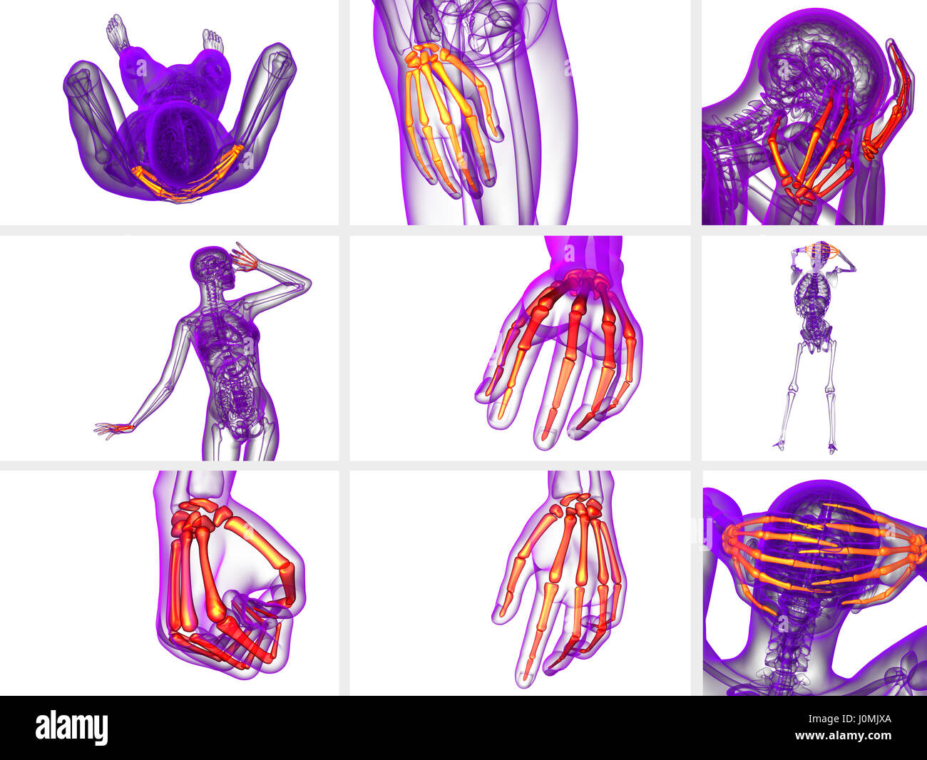 3d rendering illustration of the skeleton hand Stock Photo - Alamy
