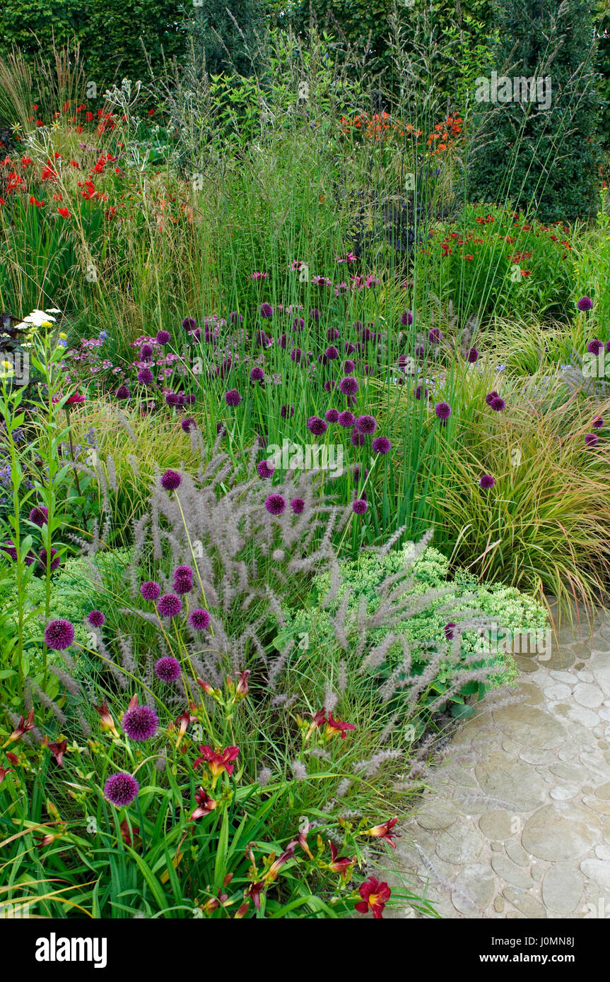 Detail of a flower border with Achillea, Allium and Grasses Stock Photo ...