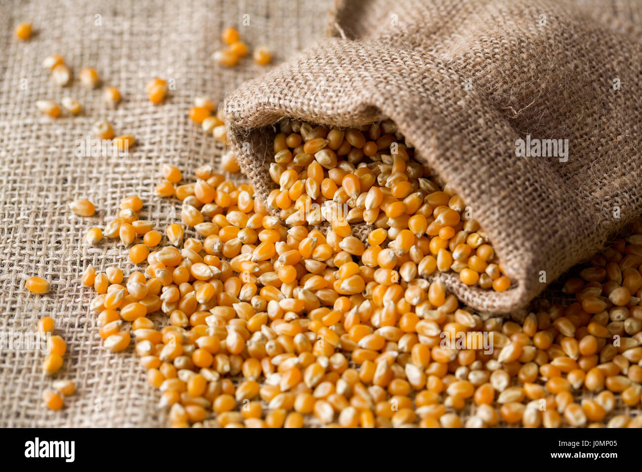 Bright corn kernels background Stock Photo - Alamy